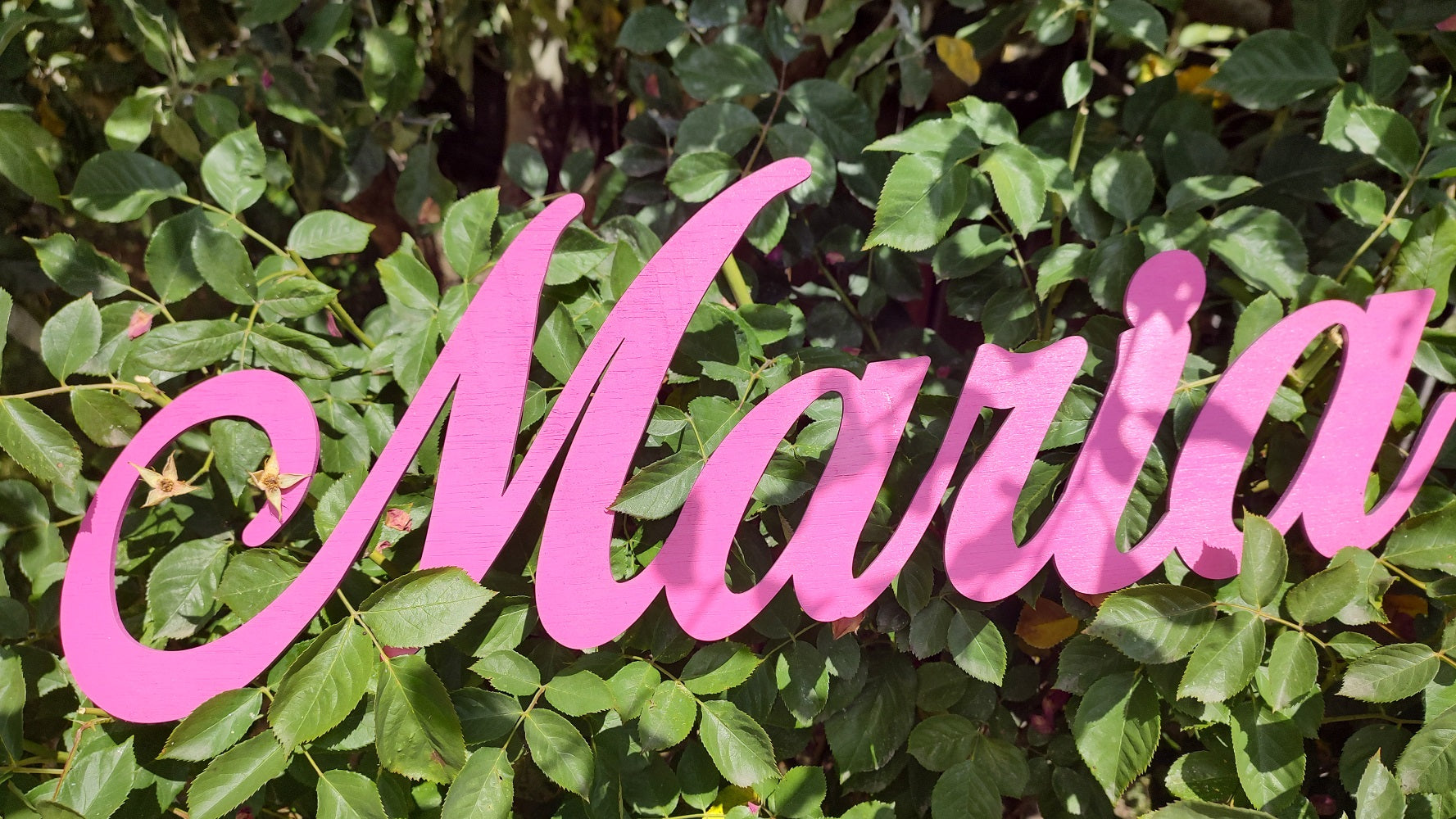 Nume decupat personalizat vopsite 20 - 90 cm – codria